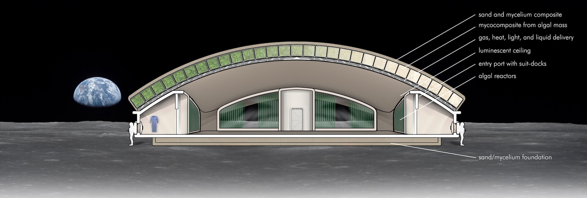 When we live on Mars, we’ll make our cities out of mushrooms | Dazed