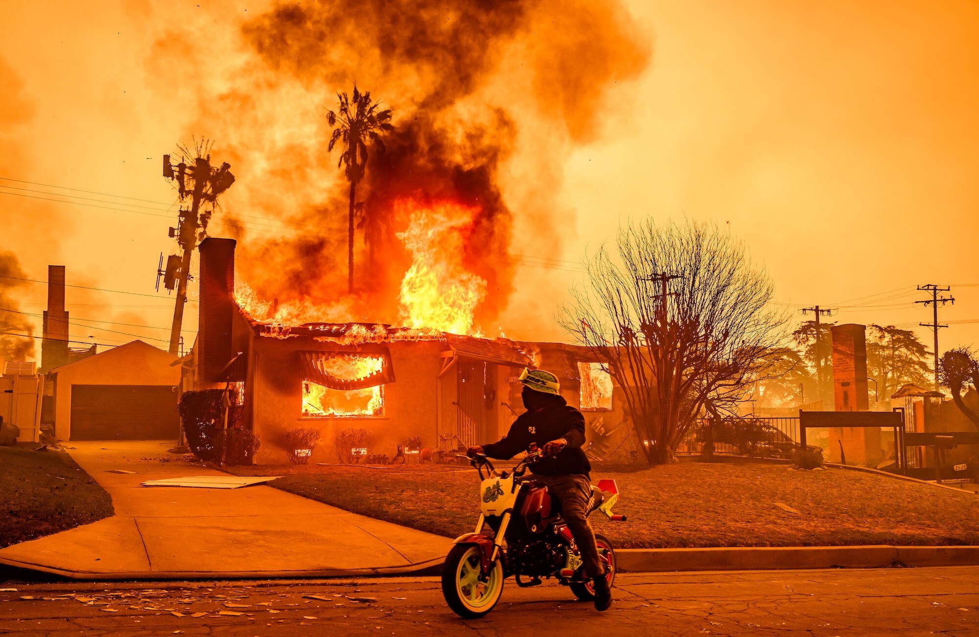 The LA fires are born from decades of human greed | Dazed