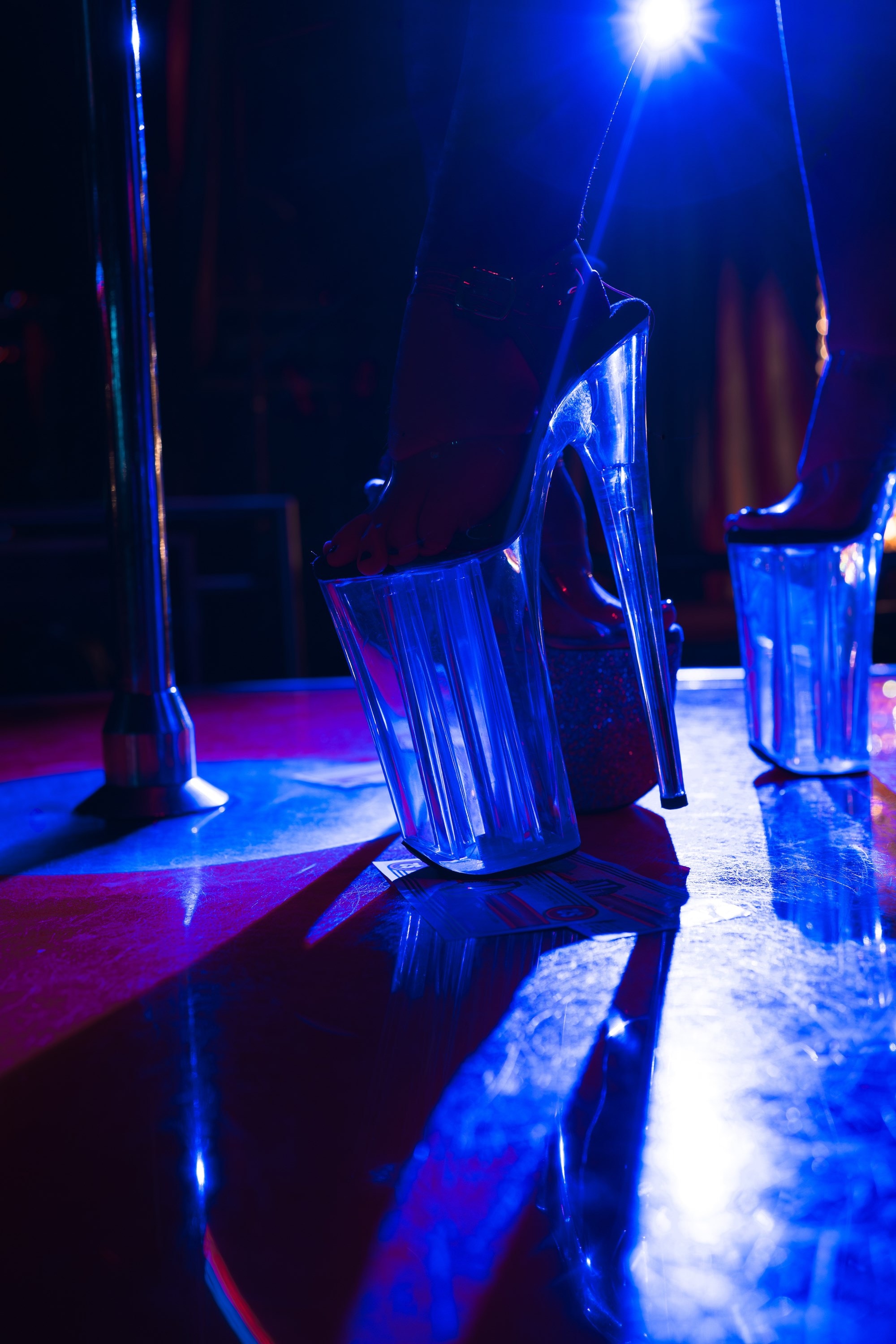 Danielle Fitzgerald, Venus 8 | Dazed