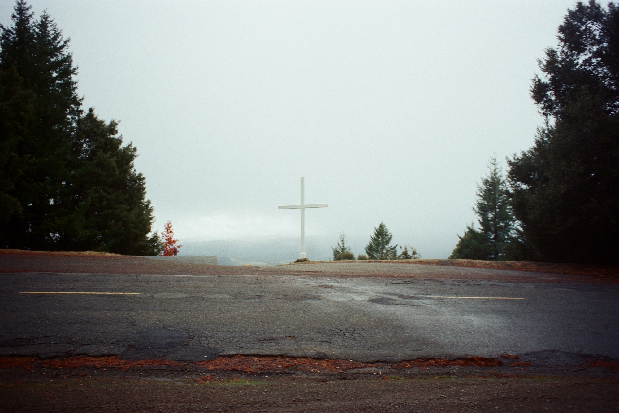 Sophia Cutino, Diaries of a Wet Bird | Dazed