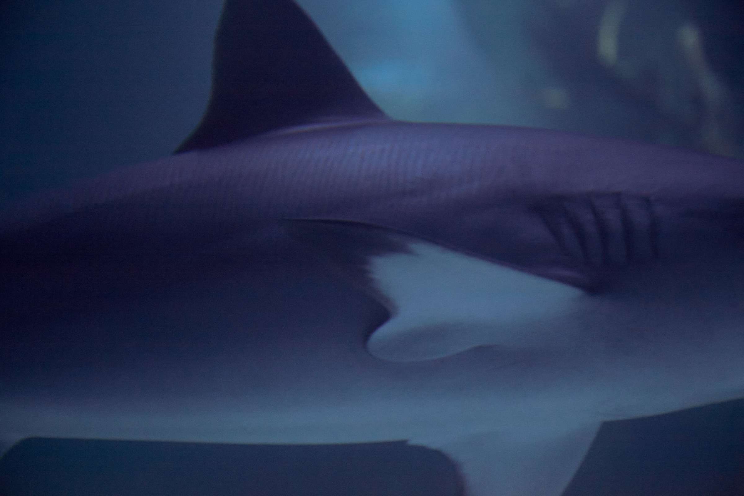 Ann Demeulemeester | Dazed