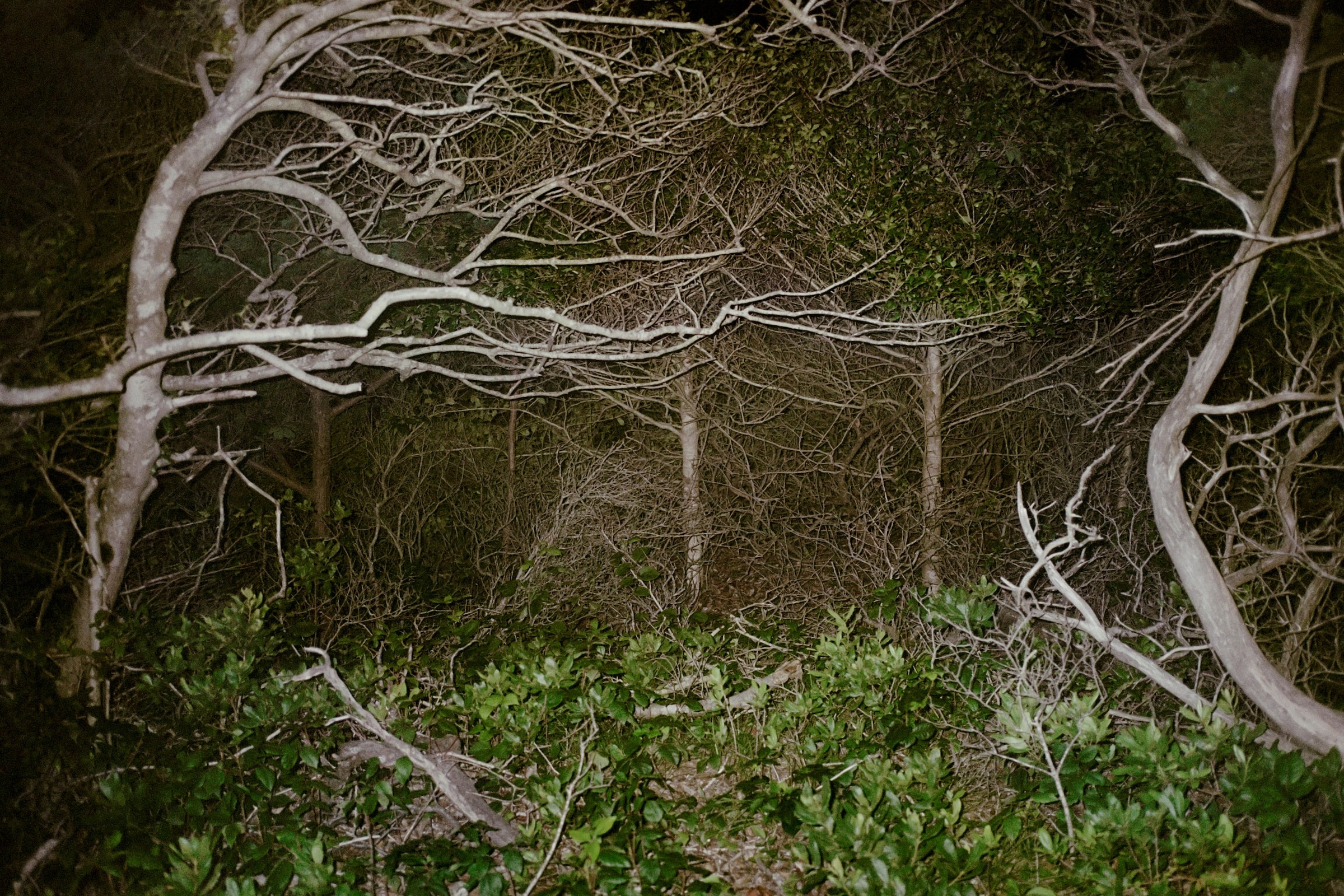 Sam Penn, Max | Dazed