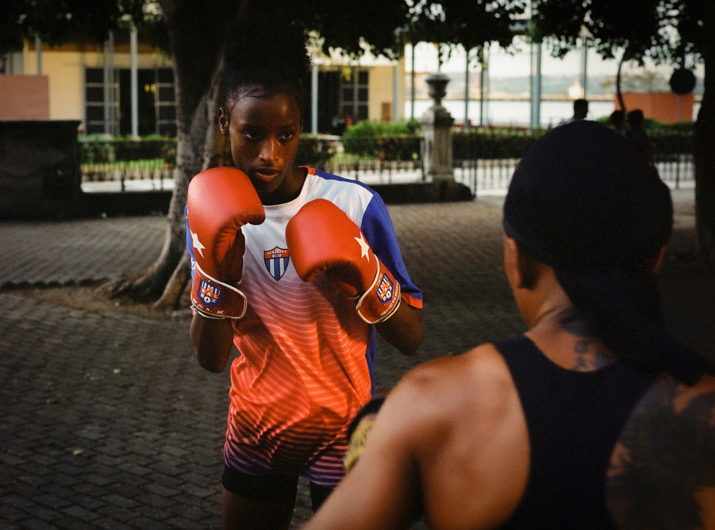 Constanze Han, Boxing Sisters | Dazed