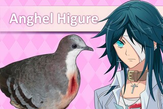 What would it be like to date a pigeon? | Dazed