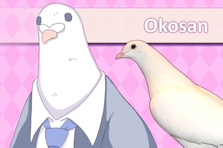 What would it be like to date a pigeon? | Dazed