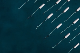 Daisy Schofield Contributor Profile | Dazed