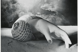 Dora Maar Untitled (Hand Shell)