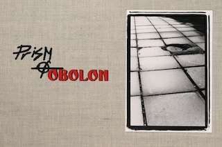 Daria Pyshna, Prism of Obolon