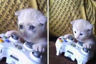 Alim Kheraj Contributor Profile | Dazed