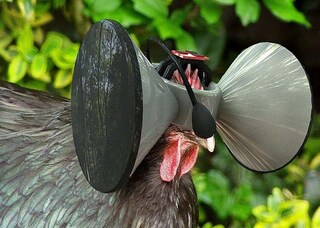 Will these new virtual reality trends trump Oculus Rift? | Dazed