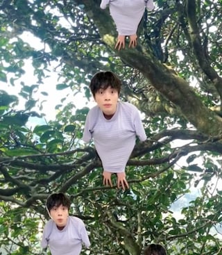 Why Chinese students are pretending to be birds | Dazed