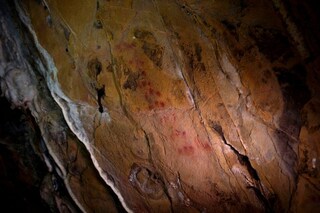 What can extinct, 40,000-year-old Neanderthals teach us about being ...