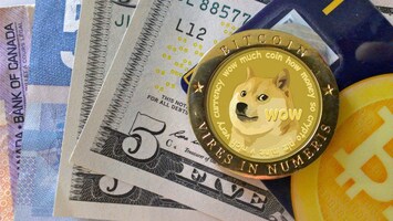 The rise of dogecoin | Dazed