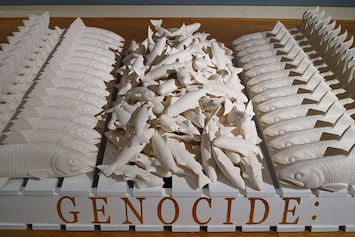 The artists pushing animal rights further | Dazed