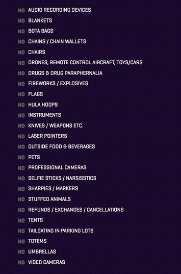 Coachella Bans Selfie Sticks And Narcissists Dazed