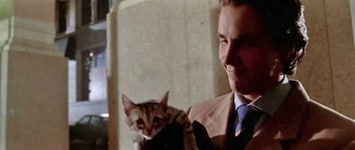 A Siberian city wants an 18-month old cat as mayor | Dazed