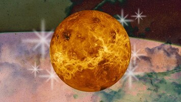 Is there really alien life on Venus? An expert weighs in | Dazed