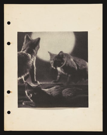 Unearthing the hidden history of magic and the occult in British art ...