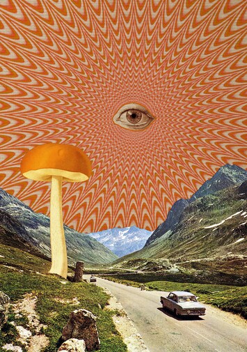 Sensuality, psychedelia, and spells: exploring the history of plant ...