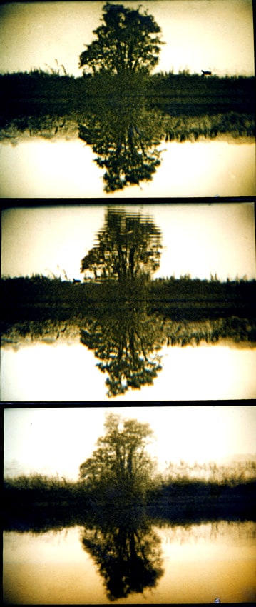 Guy Sherwin: Movements in Light | Dazed