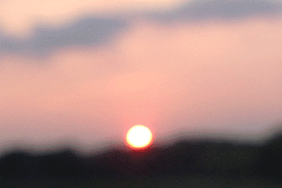 The Serpentine x 15 Folds GIF Call-out | Dazed