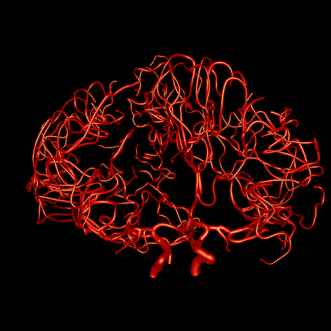 Okay, so what actually happens to our minds after we die? | Dazed