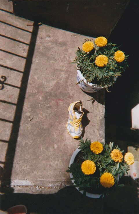 Diana "Didi" Rojas – Dazed 100 | Dazed