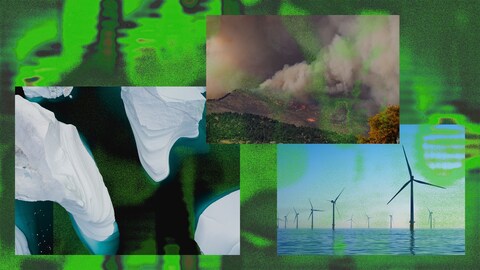 10 things you can do to change everything and combat the climate crisis ...