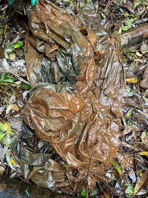 Solitude Studios AW24 | Dazed