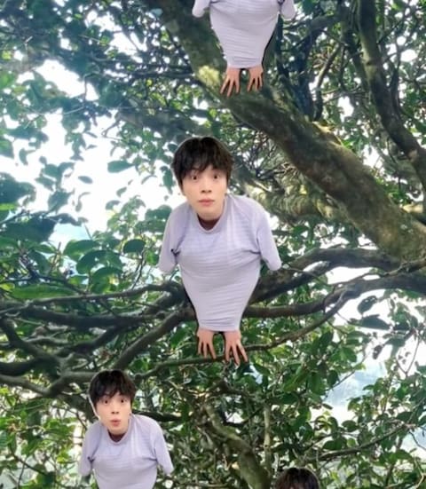 Why Chinese students are pretending to be birds | Dazed