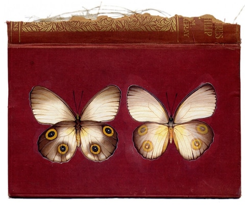 Unnatural Natural History: Rose Sanderson | Dazed