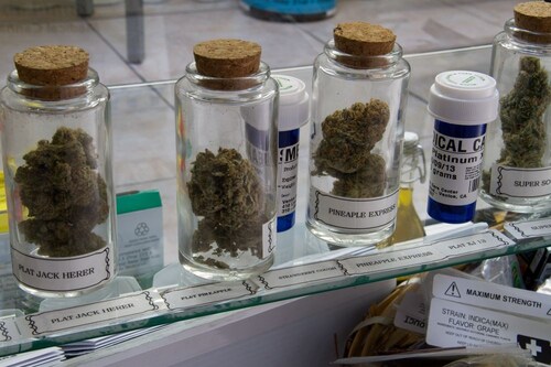 Protecting weed dealers | Dazed