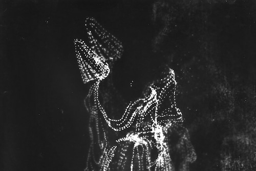 Shapeshifting | Dazed