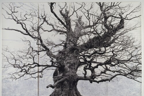 Radical Landscapes (2022) | Dazed