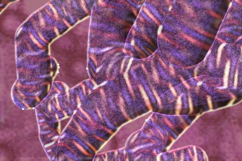 Drew Berry's Bio-Animations | Dazed