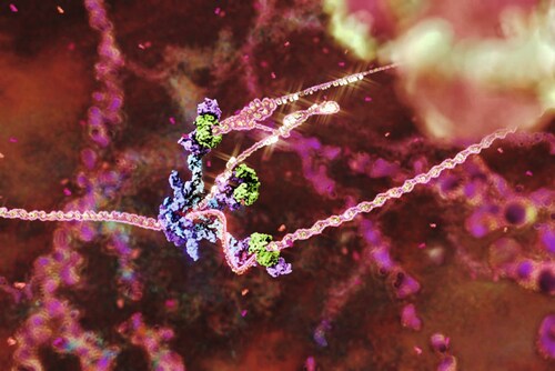 Drew Berry's Bio-Animations | Dazed