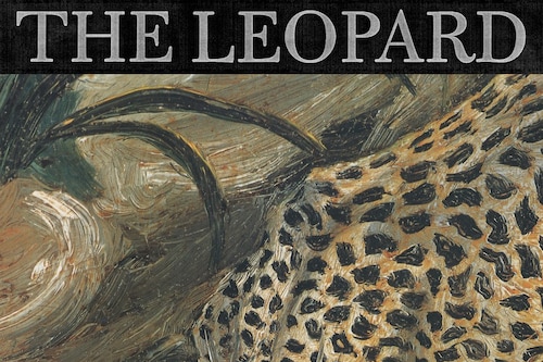 The Leopard | Dazed