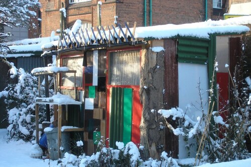 Project Pigeon | Dazed