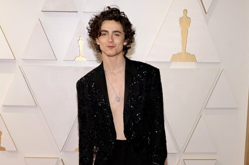 Timothée Chalamet’s most breathtaking fashion moments | Dazed