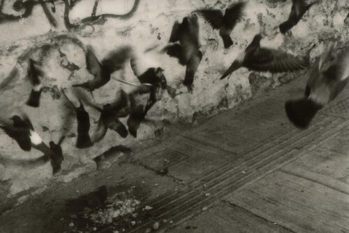 Jack Brooks, Trigger Happy (2024) | Dazed