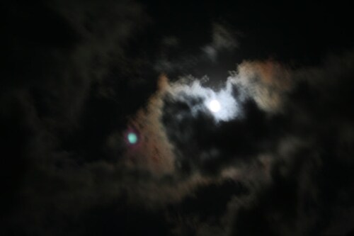 Jordan Baseman: 1973 and Green Lady | Dazed