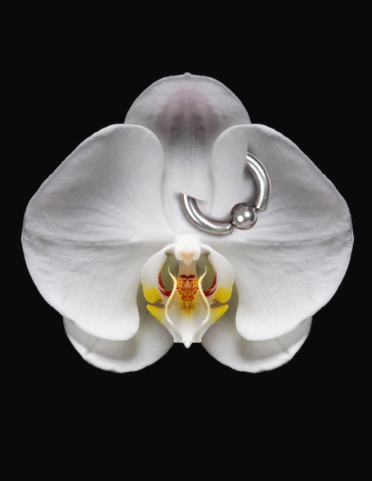 How people are using genital piercings to affirm their gender | Dazed