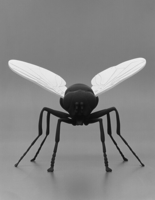 A toddler has knocked over a €50,000 insect sculpture at Art Basel | Dazed