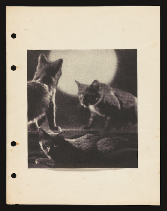 Unearthing the hidden history of magic and the occult in British art ...