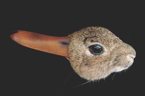 Critical Dictionary | Dazed