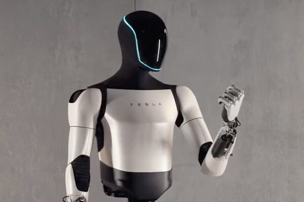 Elon Musk wants his army of humanoid robots in your home | Dazed