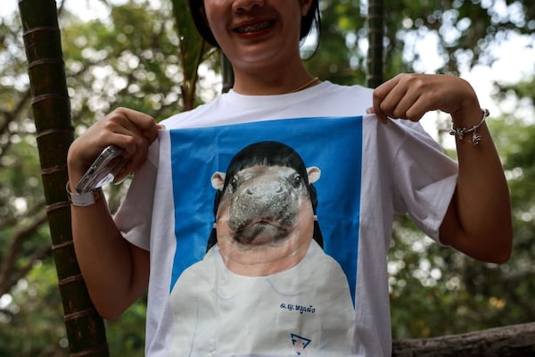 Moo Deng and the bizarre world of viral animal tourism | Dazed