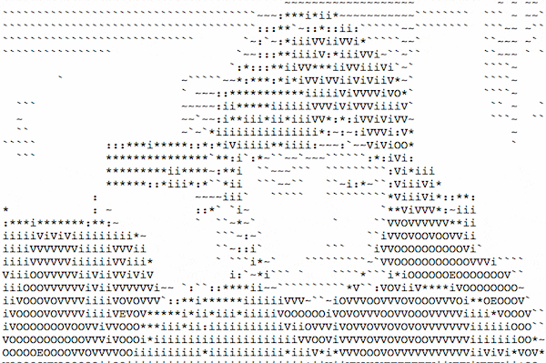ASCIIcam transforms your webcam selfies into moving text | Dazed