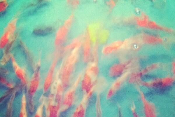 Instagram Tales: Cameron Alexander | Dazed