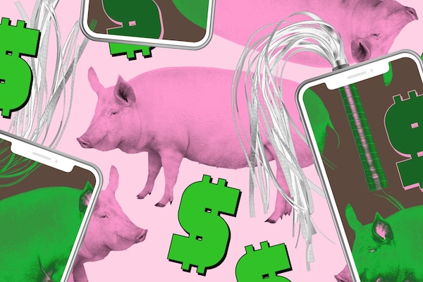 How paypigs have been funding their fetish during the pandemic | Dazed